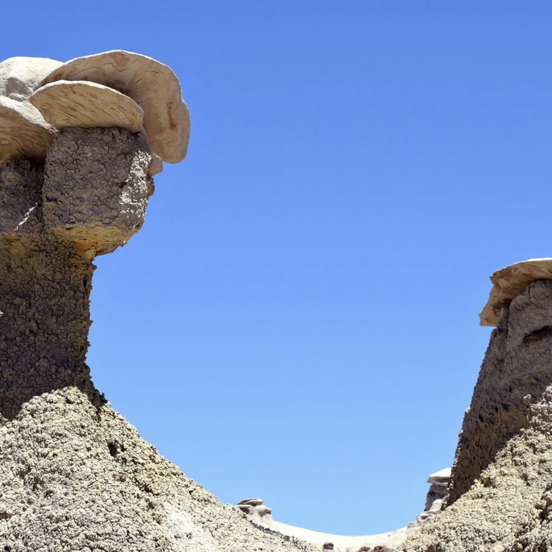 Discover Navajo – Navajo Nation Tourism, Discover Navajo, Dine Bikeyah ...